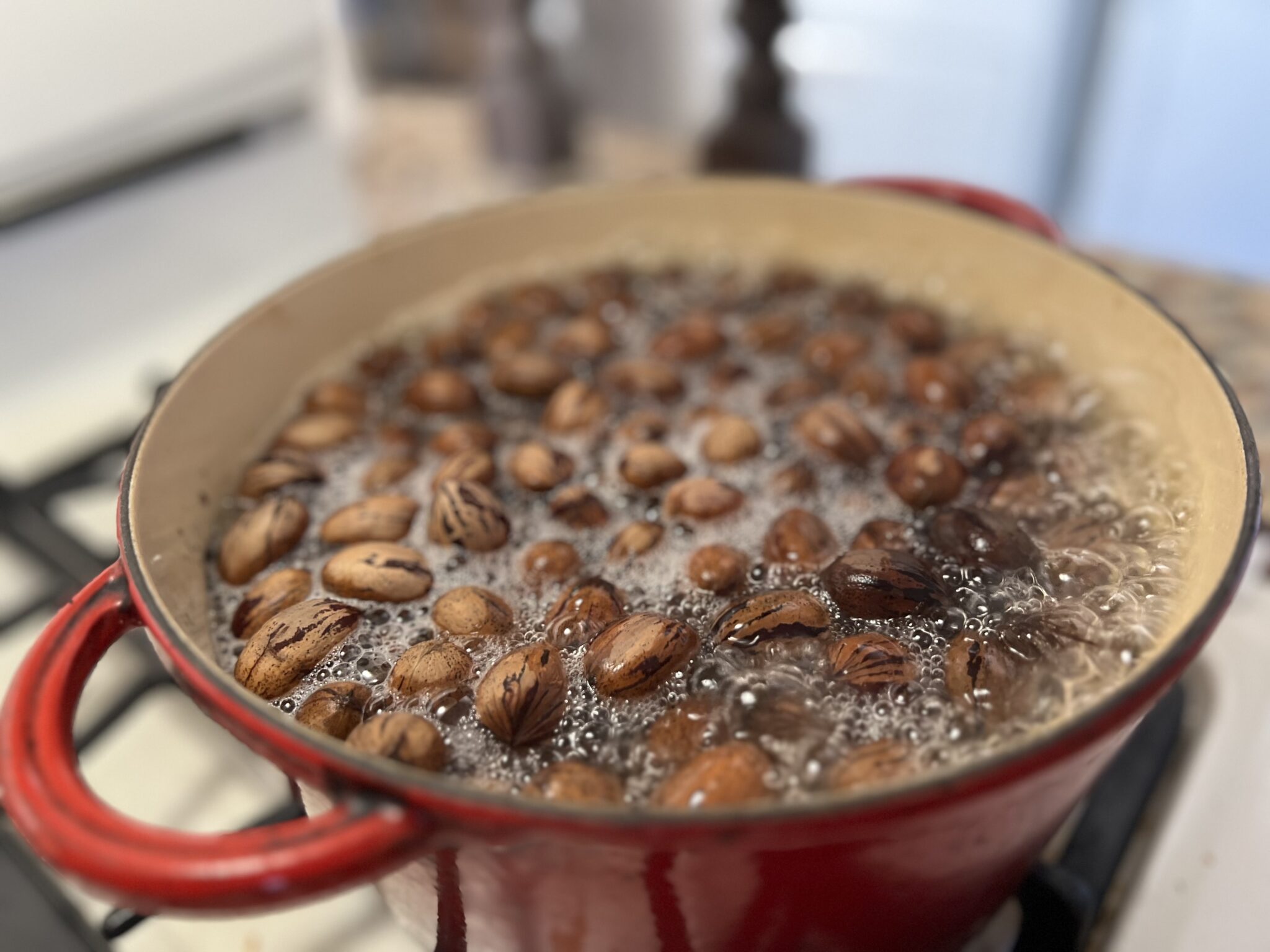 How To Shell and Use Pecans - Jennifer Jade Juniper