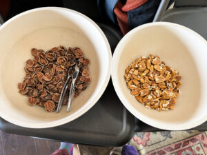 How To Shell and Use Pecans - Jennifer Jade Juniper