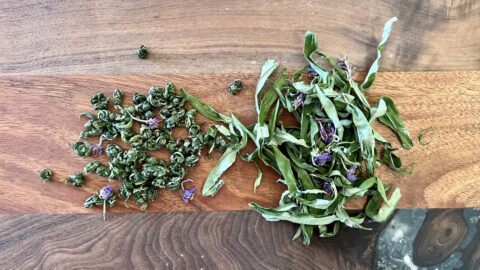 How to Make Fireweed Tea (Ivan Chai) - Jennifer Jade Juniper