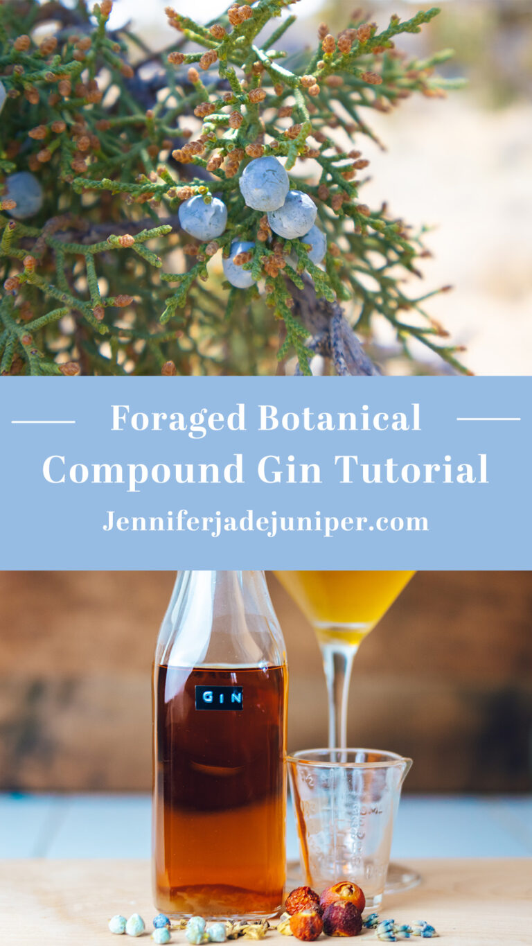 How to Make Gin With Juniper Berries: A Compound Gin Tutorial ...