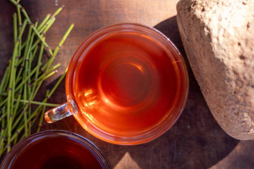 How to Make Mormon Tea: Foraging and Brewing - Jennifer Jade Juniper