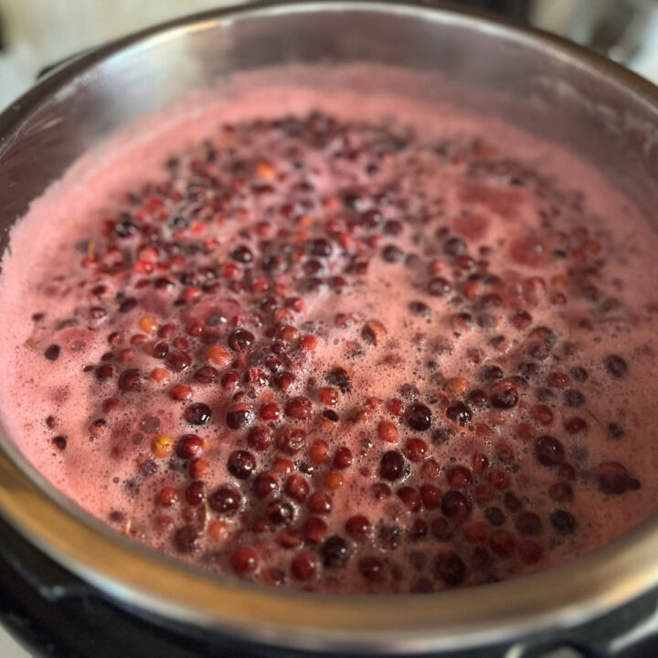 How To Make Chokecherry Juice (Step-by-Step Guide)